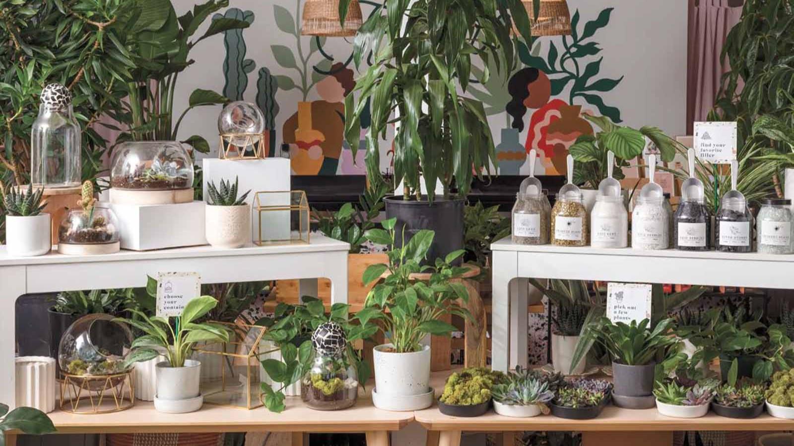 Wholesale Flowers & Giftware