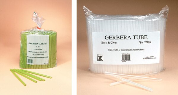 Gerbera Sleeve | Hofland