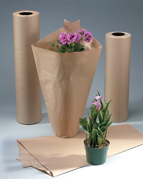 Kraft Natural Sleeve | Hofland