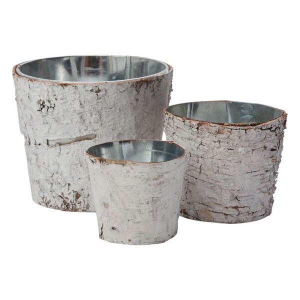 White Birch Pot W/ Zinc | Hofland